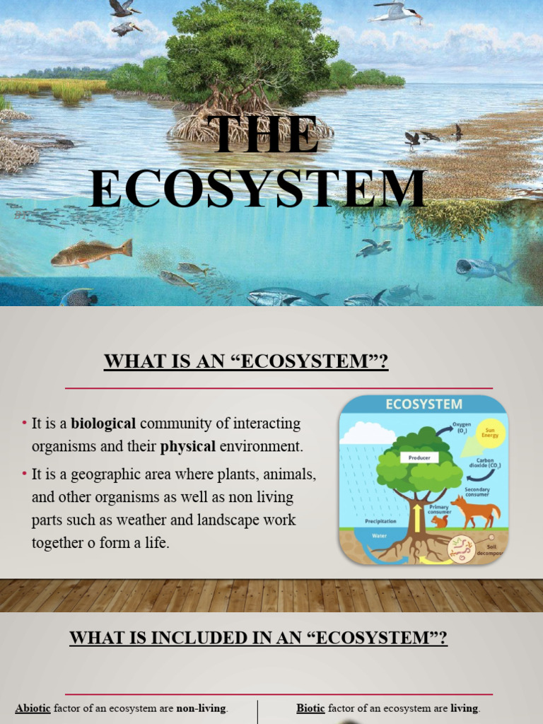 The Ecosystem 5 | PDF