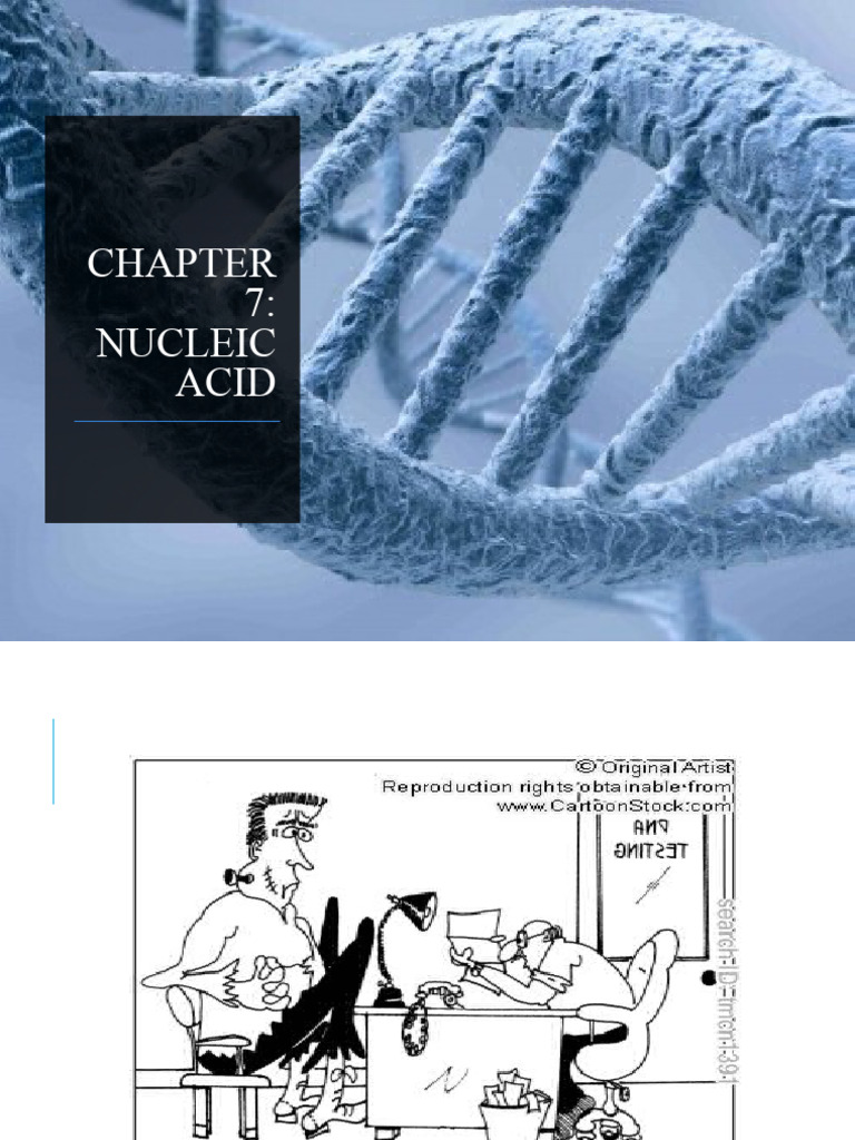 Mic180 - Chapter 7 - Nucleic Acid - Edited | PDF | Dna | Ribosomal Rna