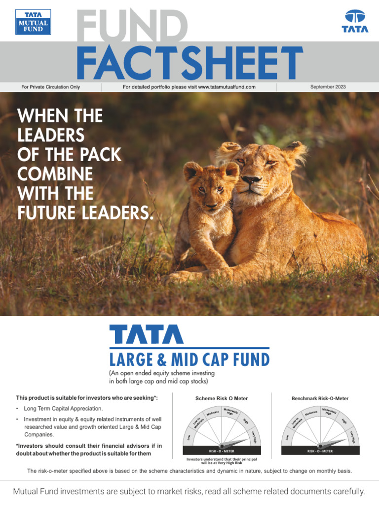 Tata MF Factsheet September 2023 | PDF | Investment Fund | Investing