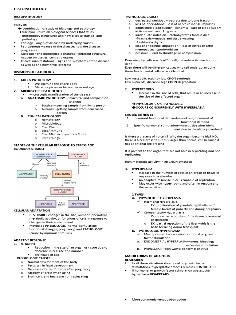 Histopathology - Lec Prelim 1 | PDF | Inflammation | Necrosis Histopathology - Lec Prelim 1 | PDF | Inflammation | Necrosis