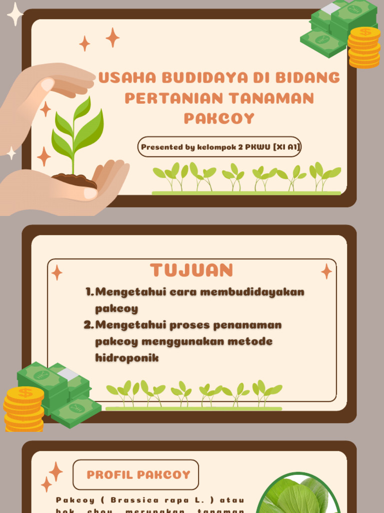 Membudidaya Pakcoy | PDF