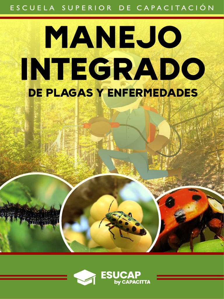 Modulo 01 - Plagas y Enfermedades | PDF | Plaga (organismo) | Agricultura