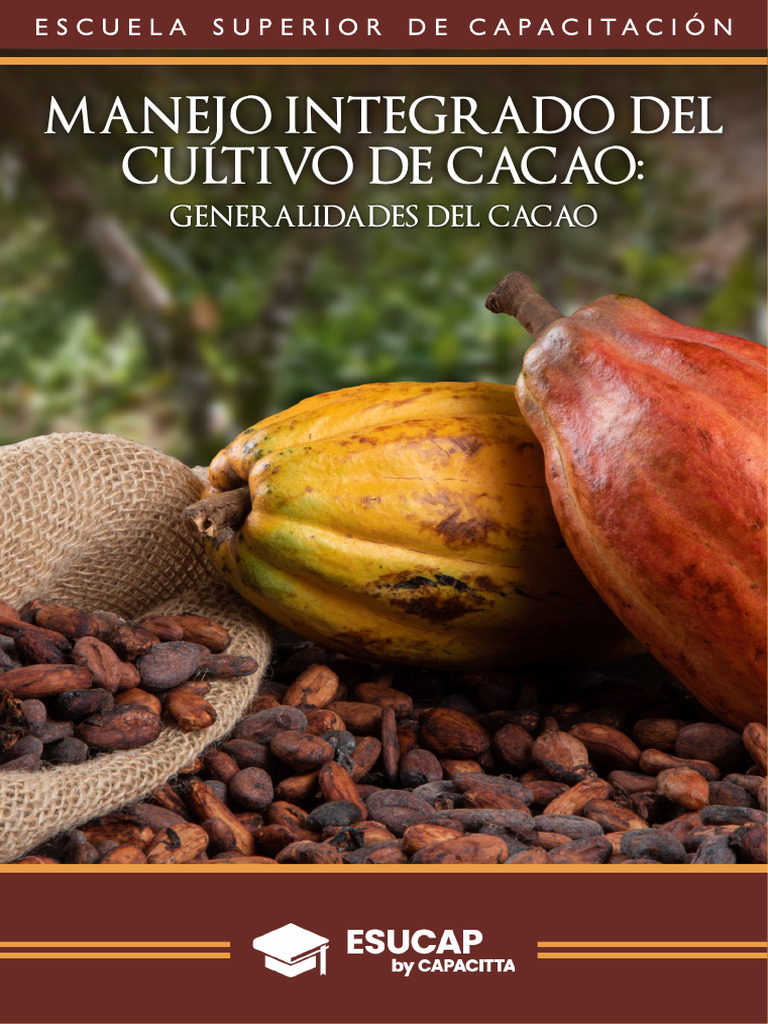 Modulo 01 - Cacao | PDF