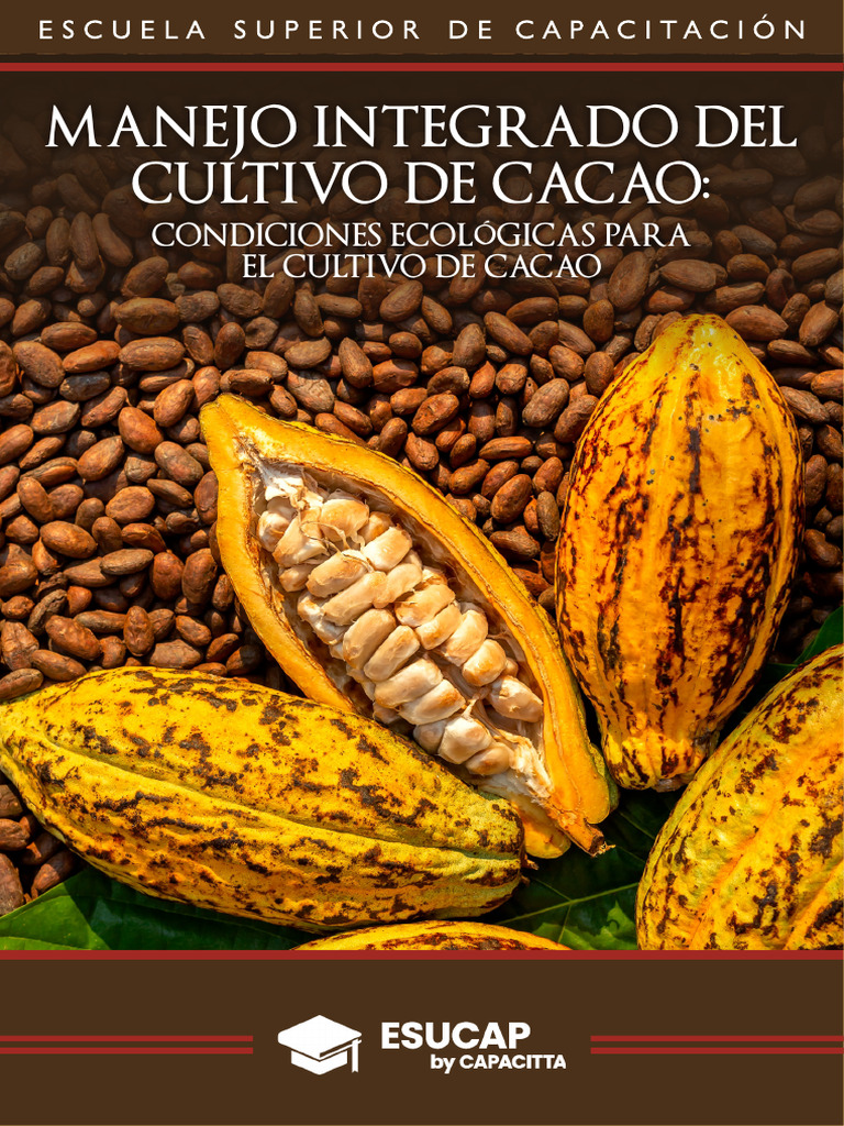 Modulo 02 - Cacao | PDF | Suelo | Fertilizante