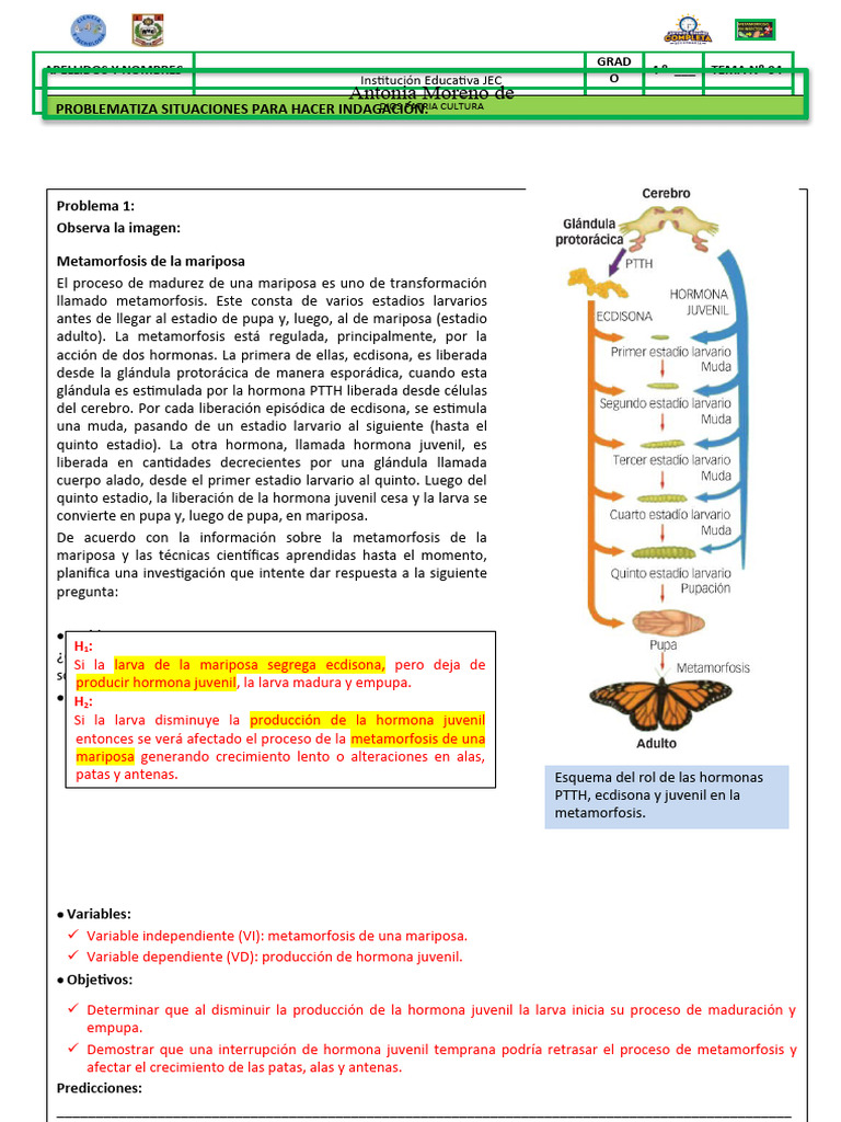 Actividad 4-1 | PDF