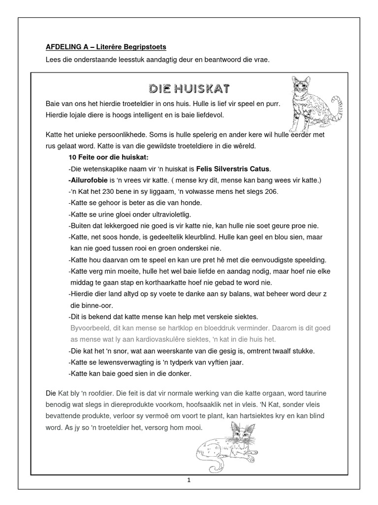 Hersiening - Afrikaans | PDF