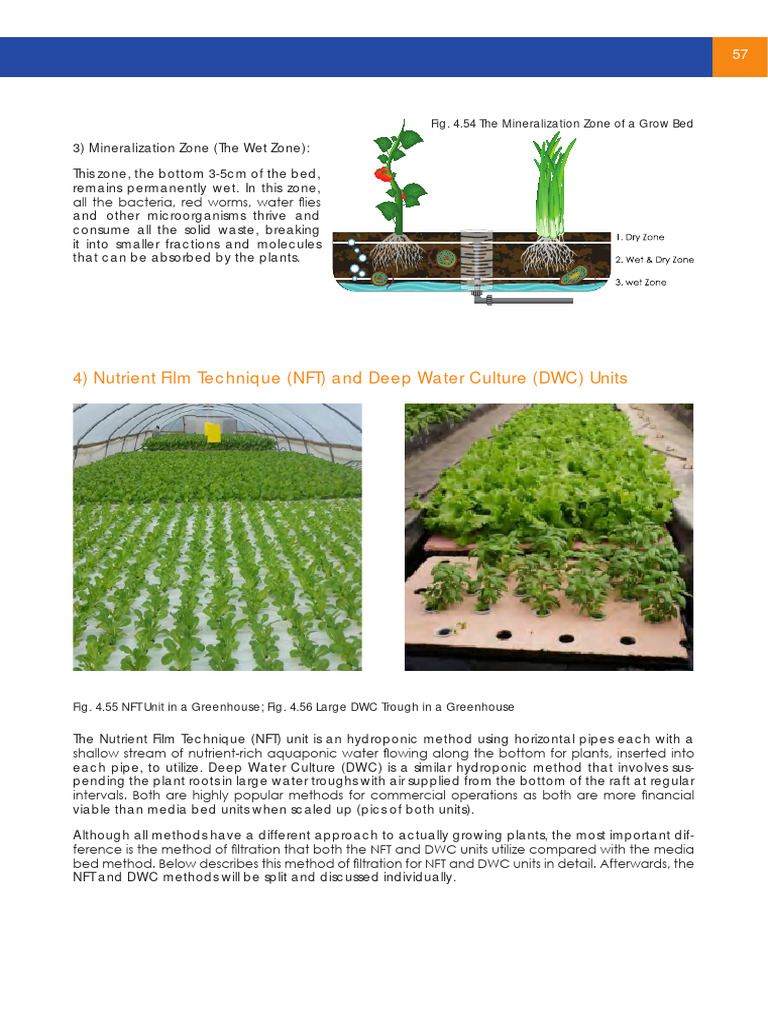NFT vs DWC in Aquaponics Systems | PDF | Aquaponics | Hydroponics