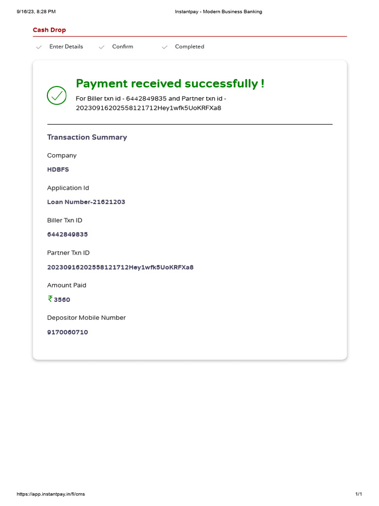 Instantpay - Modern Business Banking-1 | PDF