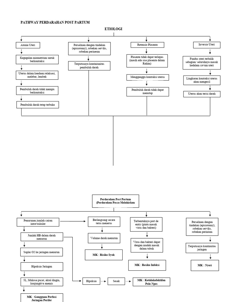 Pathway Perdarahan Post Partum | PDF