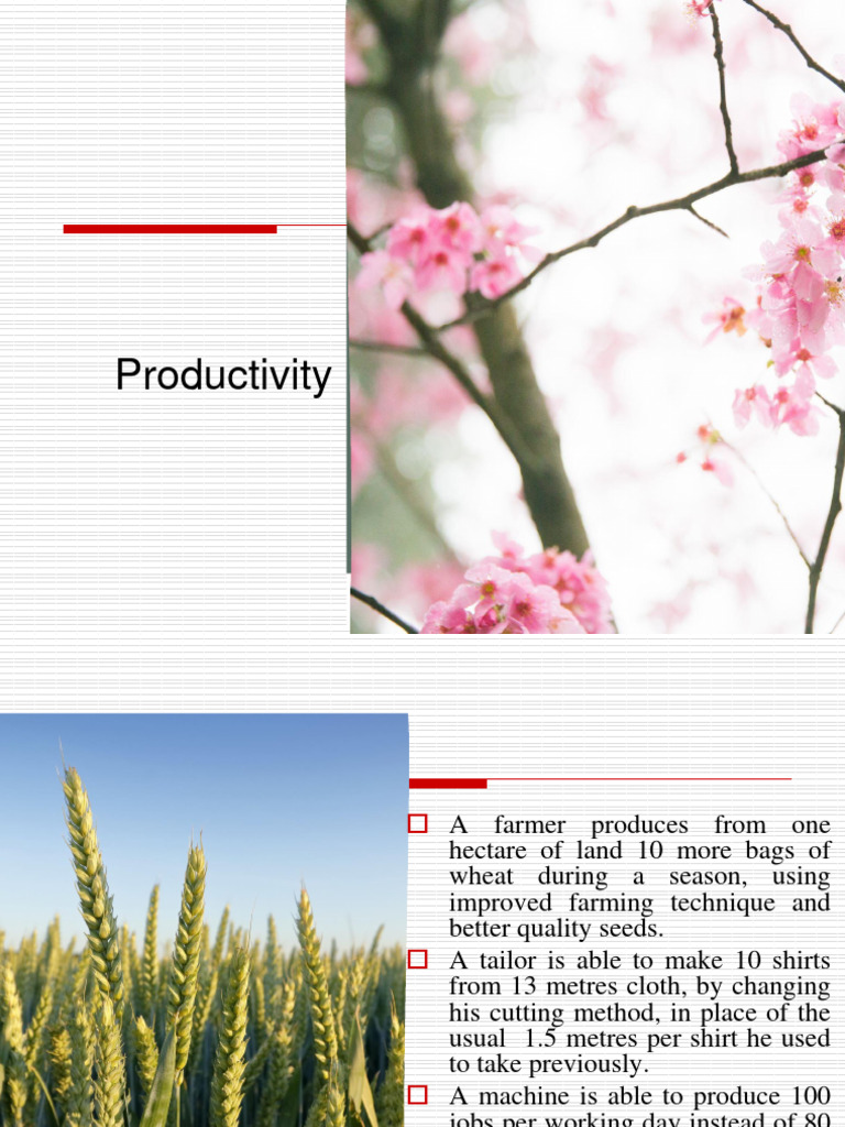 IM CLASS Productivity | PDF | Operations Management | Factors Of Production
