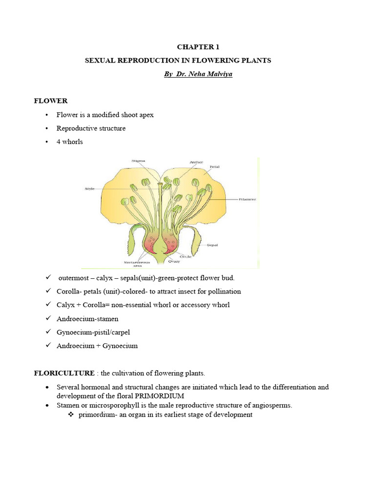 Sexual Reproduction in Flowering Plants | PDF