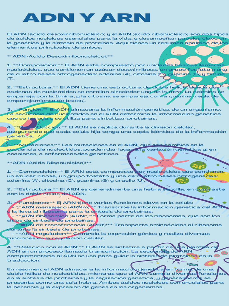 Adn y Arn | Descargar gratis PDF | Rna | Adn