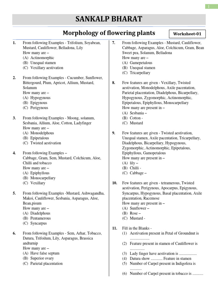 Morphology of Flowering Plants Worksheet | PDF | Petal | Horticulture