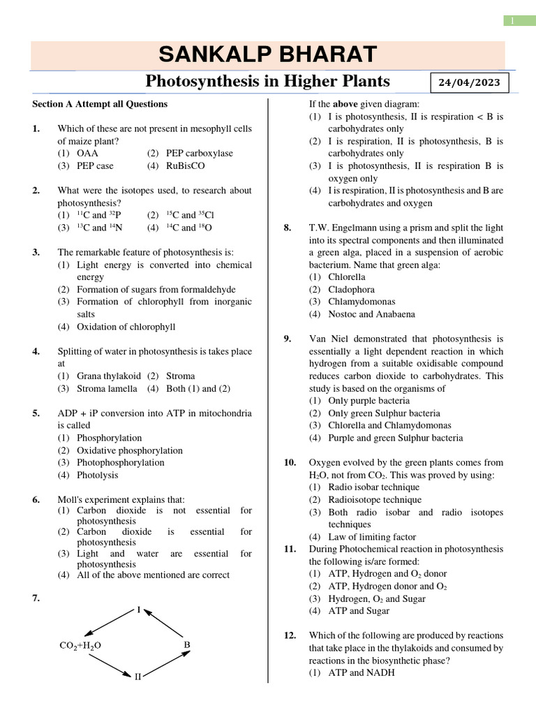 Photosynthesis in Higher Plants Questions | PDF | Biology | Photochemistry