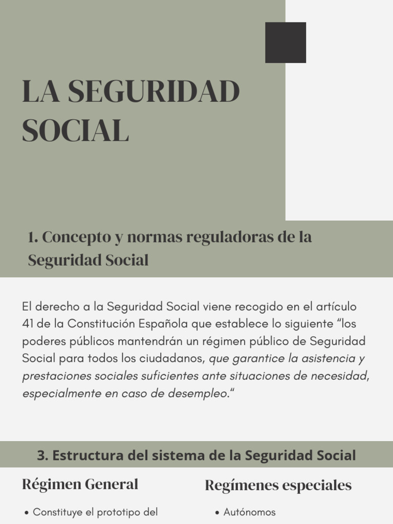 La Seguridad Social Pdf Pensión Jubilación