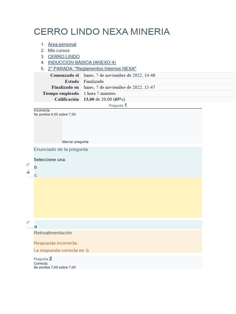 Cerro Lindo Nexa | PDF | Realimentación