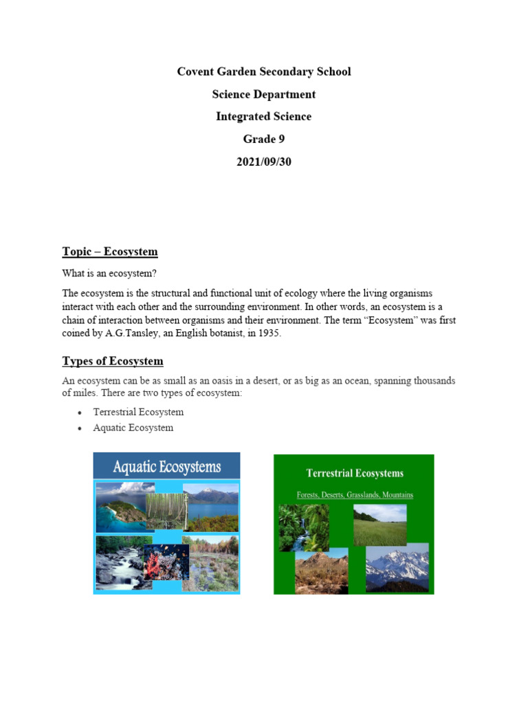 Grade 9 Integrated Science Week 4 | PDF