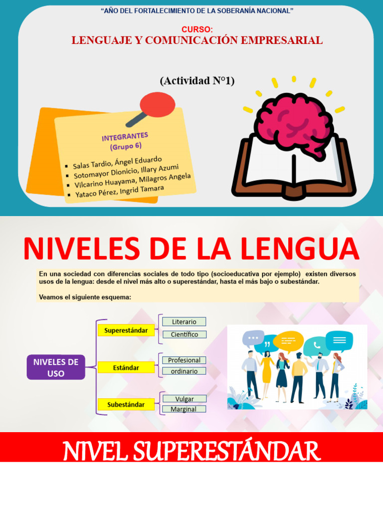 Niveles y funciones del lenguaje español | PDF