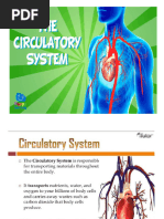 Circulatory System of Frog | PDF | Heart | Atrium (Heart)