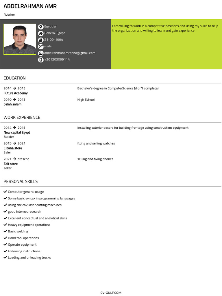 Abdelrahman CV English | PDF