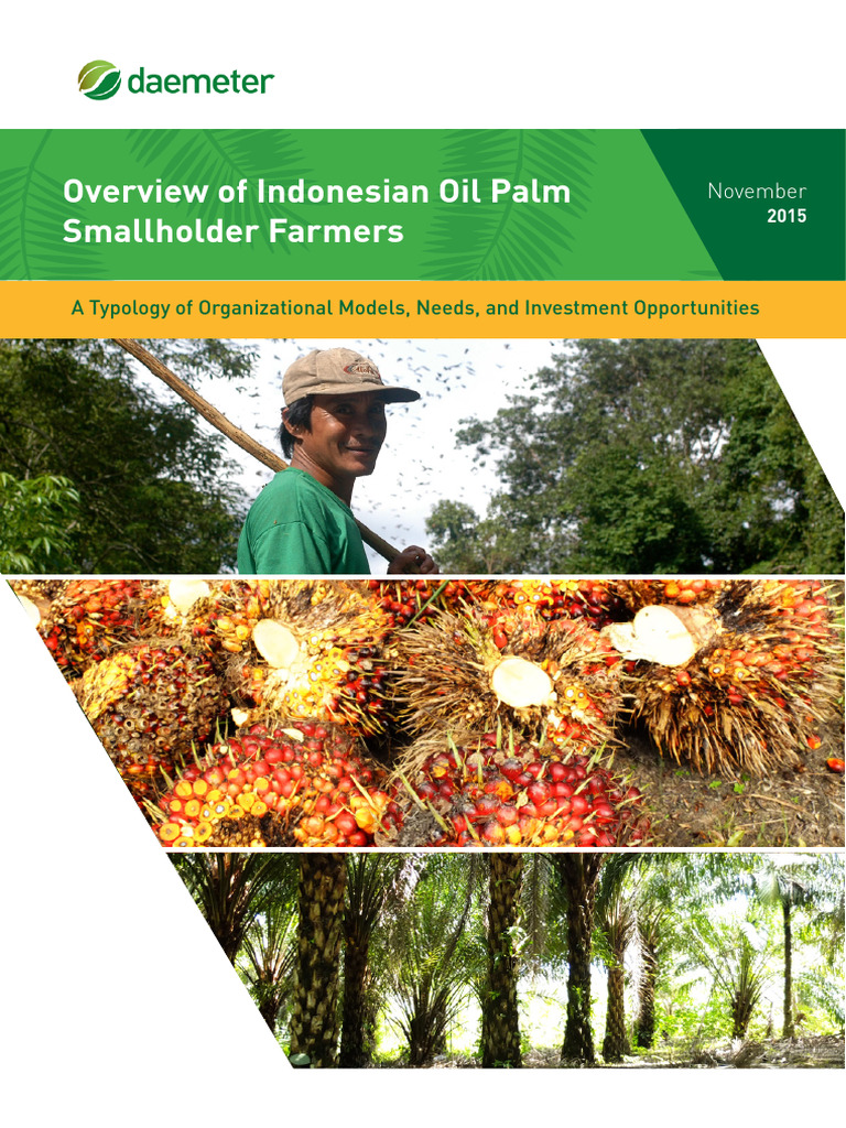 20160105233051.smallholders Book 050116 Web | PDF | Smallholding | Palm Oil