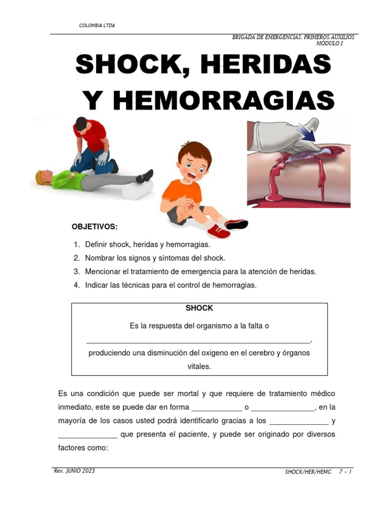 Lección 6 Shock Heridas y Hemorragias | PDF | Primeros auxilios | Sangrado