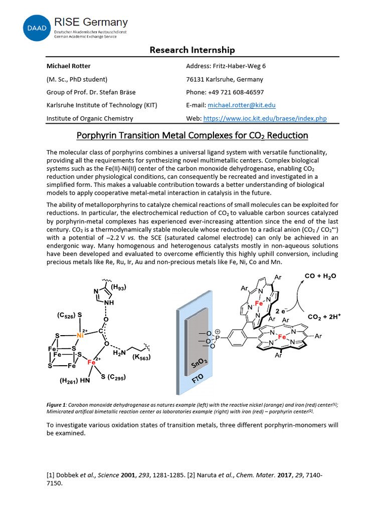 12-Porphyrin Transition Metal Complexes For CO2 Reduction | PDF ...