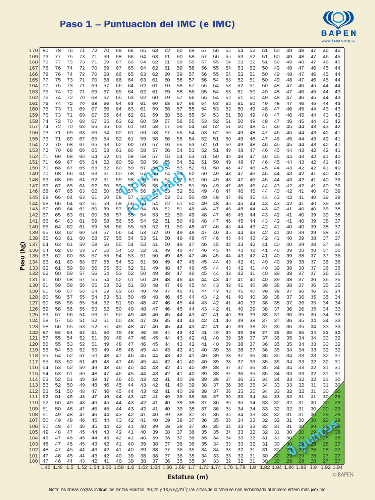Must Toolkit Bmi2 | PDF