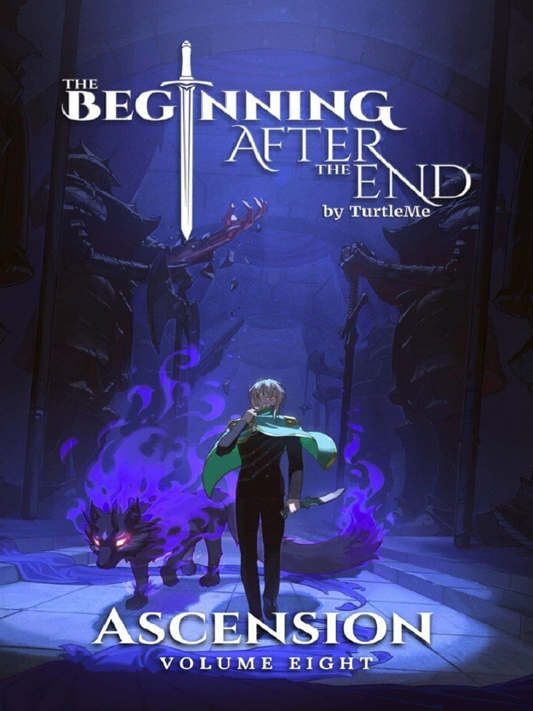 The Beginning After The End Tome 8 | PDF