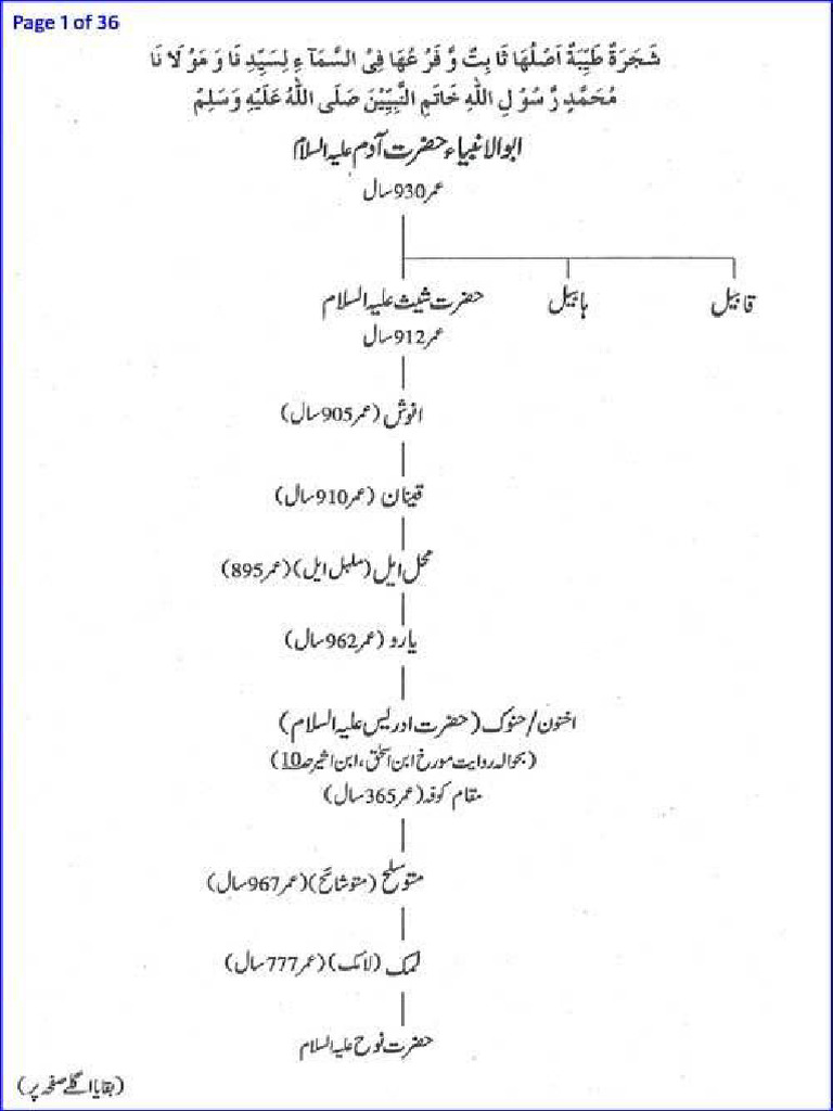 Information about Family Tree of Prophet Muhammad صلی اللہ علیہ والہ ...