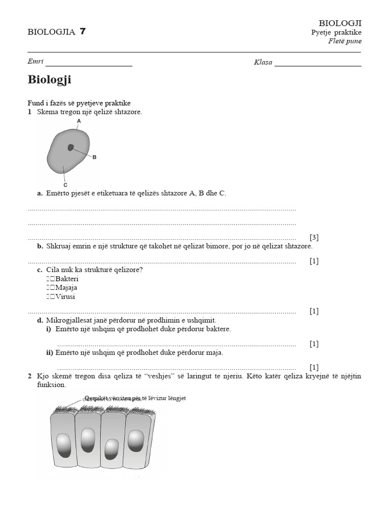 18 Pyetje Praktike Fletë Pune | PDF