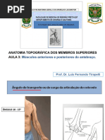 Músculo Abdutor Longo Do Polegar - Origem, Inserção - Kenhub | PDF ...