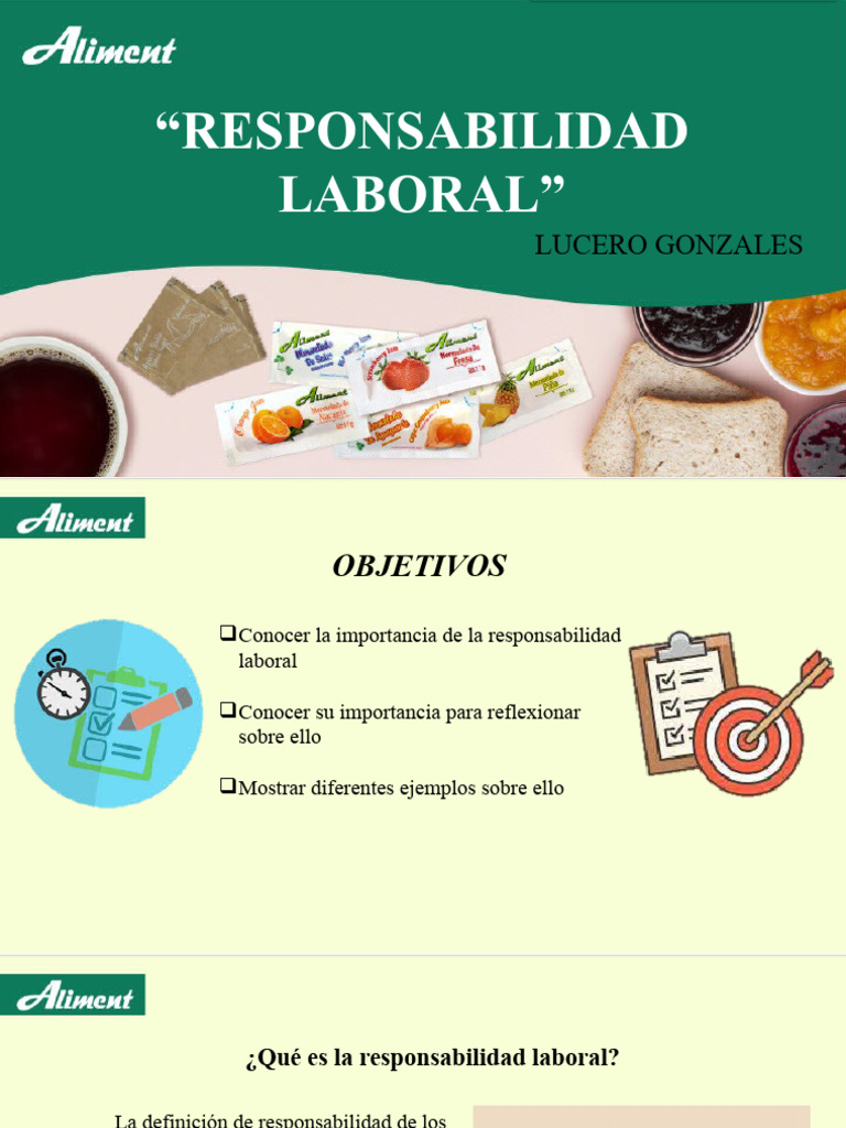 Chara de 5 Responsabilidad Laboral | PDF
