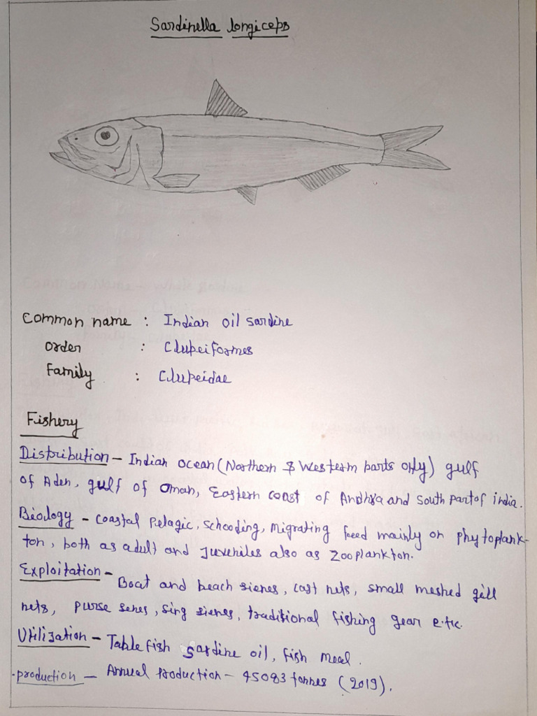 FRM, 502 - Marine Fisheries Resources | PDF