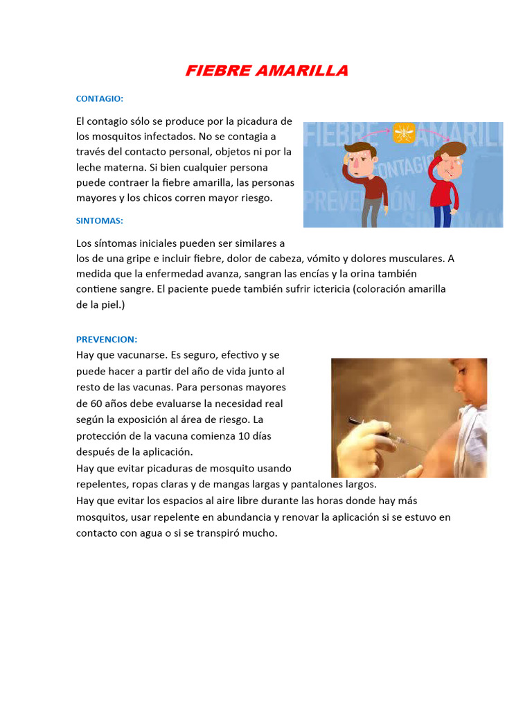 Fiebre Amarilla | PDF Fiebre Amarilla | PDF