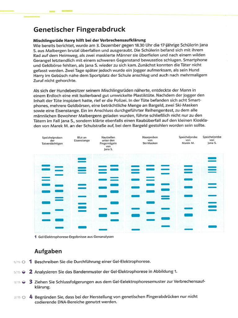 Genetischer FIngerabdruck | PDF