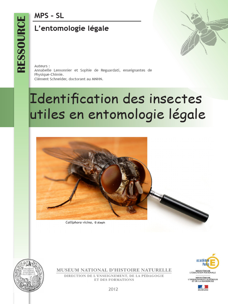 Identification des insectes en entomologie légale | PDF | Mouche | Insectes