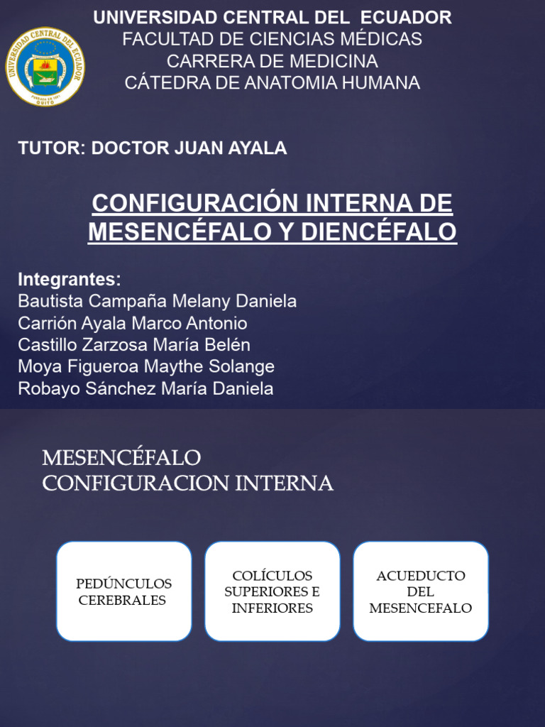 Grupo 7 | PDF | Cerebro | Órgano (anatomía)