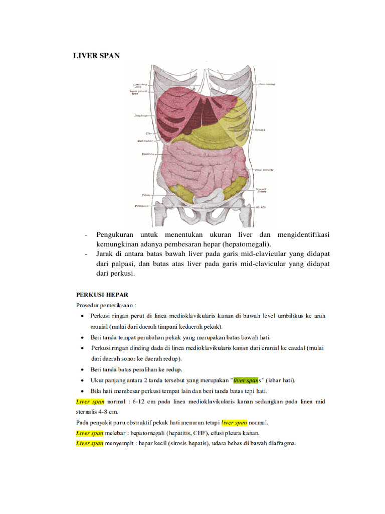 Ukuran Normal dan Pengukuran Hepar | PDF | Kesehatan Holistik