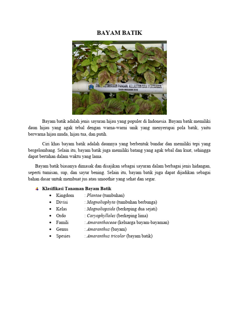 Bayam Batik | PDF