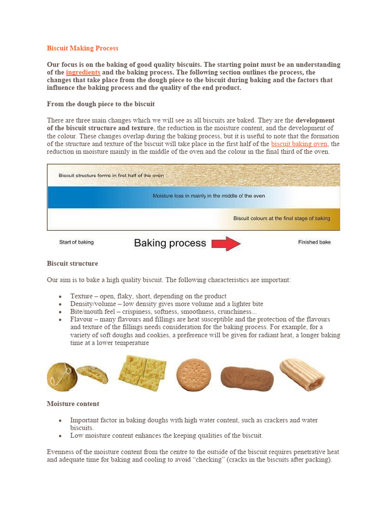 Biscuit Making Process | PDF | Flour | Starch