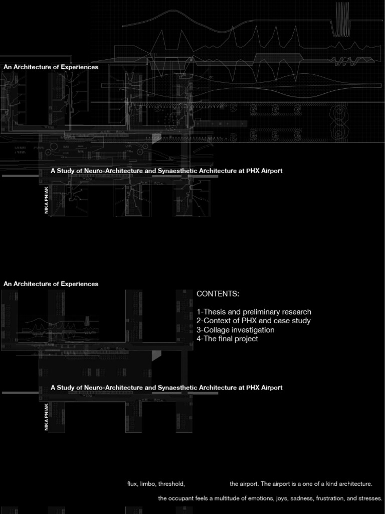 Nika Pniak - Presentation Defense | PDF | Experience | Mind