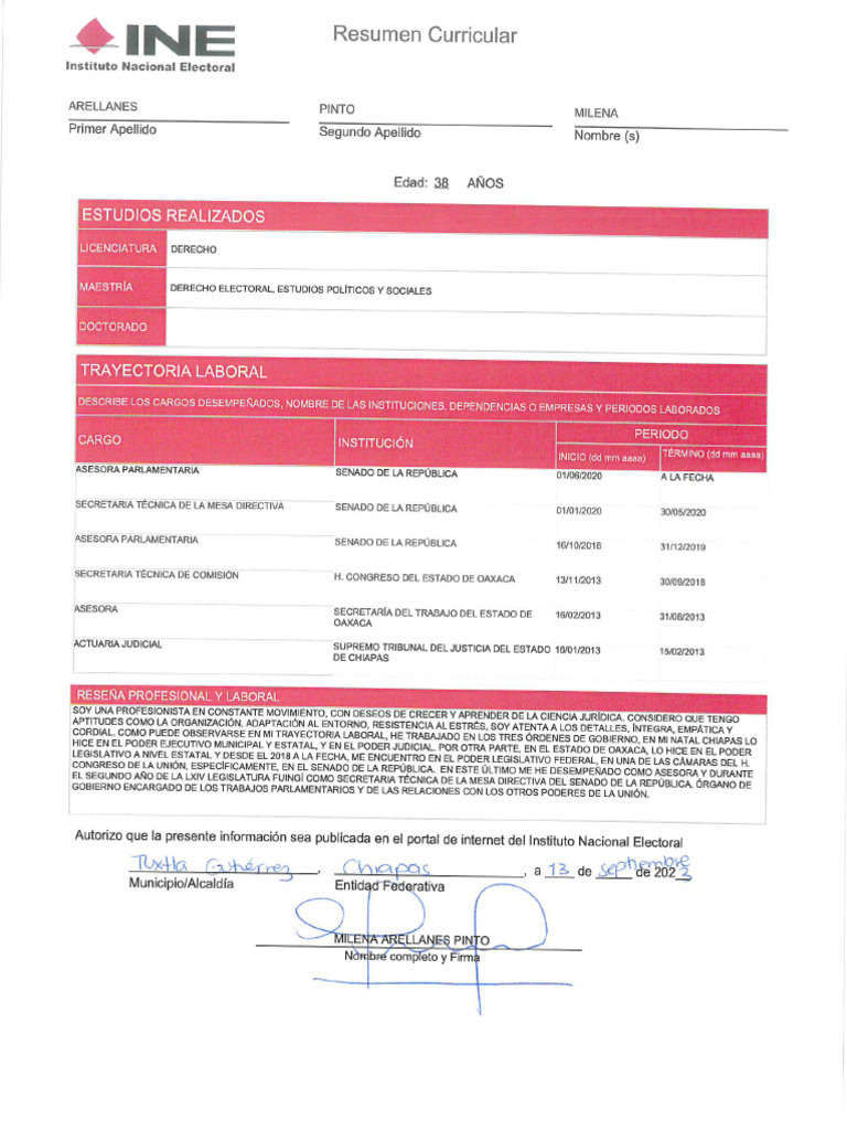 Chis Arellanes Pinto Milena Resumen | PDF