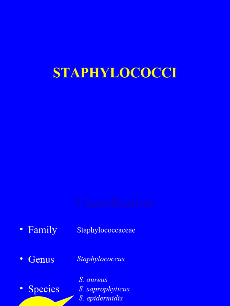Staphylococci (Lecture) | PDF | Staphylococcus | Staphylococcus Aureus