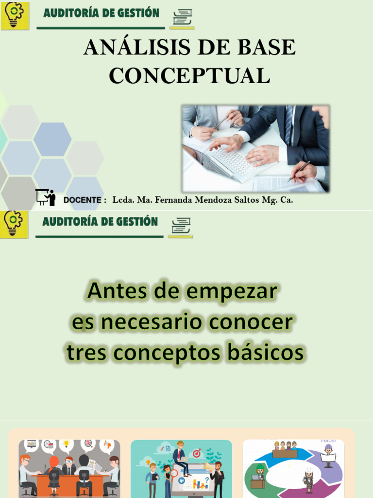 Bases Conceptuales | PDF | Auditoría | Contralor