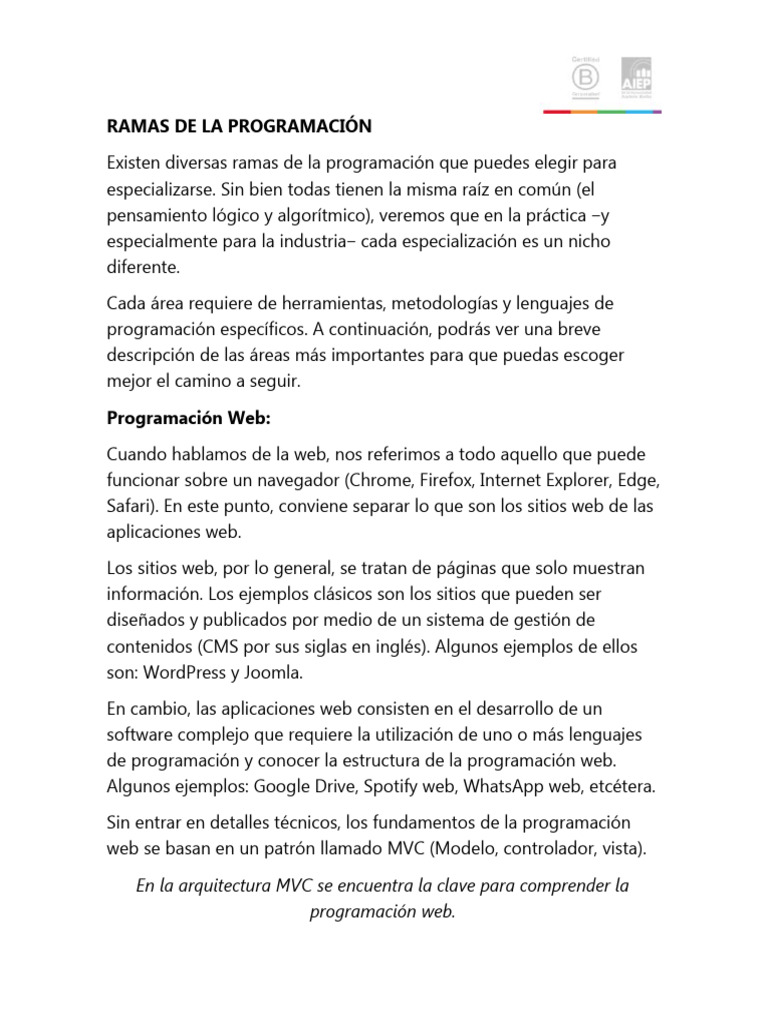 Ramas de La Programación | PDF