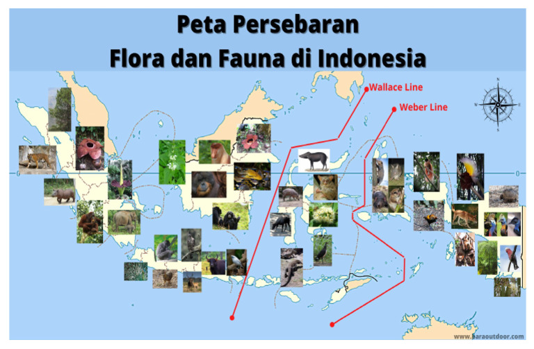 Peta Persebaran Flora Dan Fauna Full HD | PDF