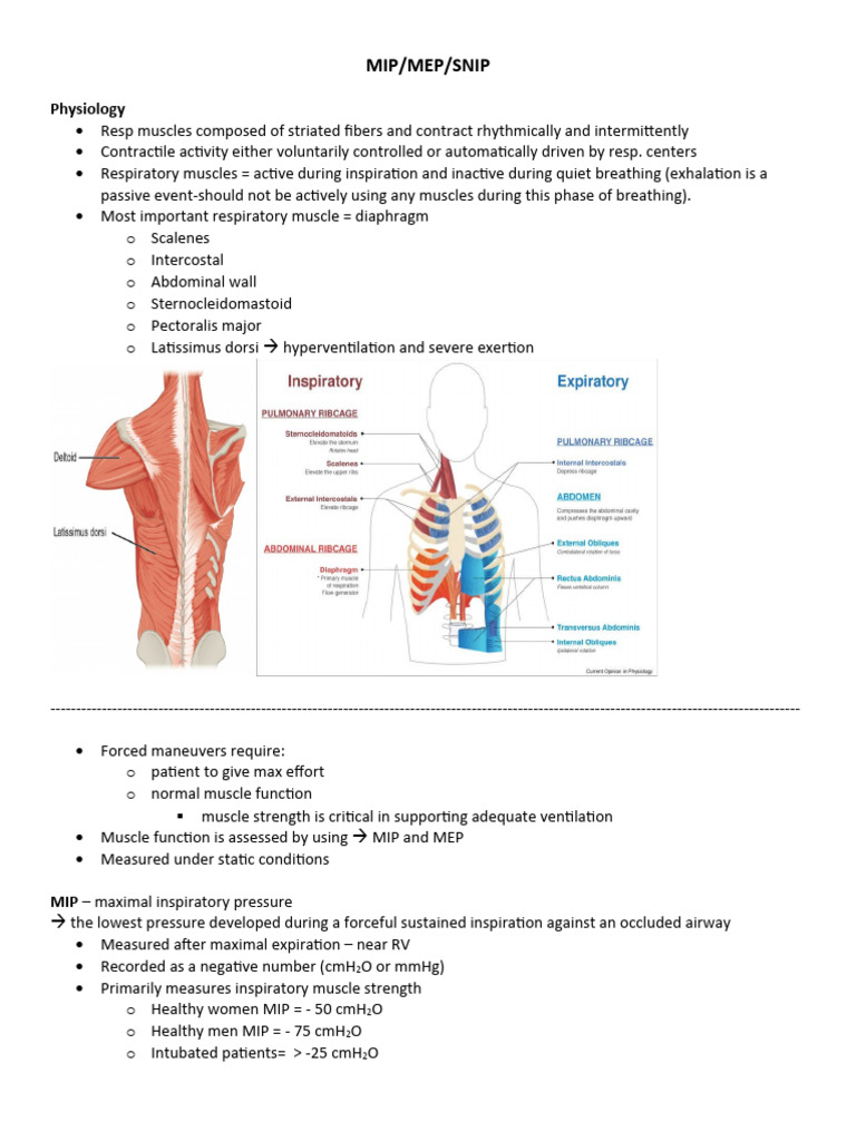 Mip Mep Snif 2022 Pdf Exhalation Respiratory System