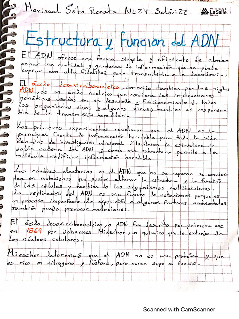 Estructura y Función Del ADN | PDF