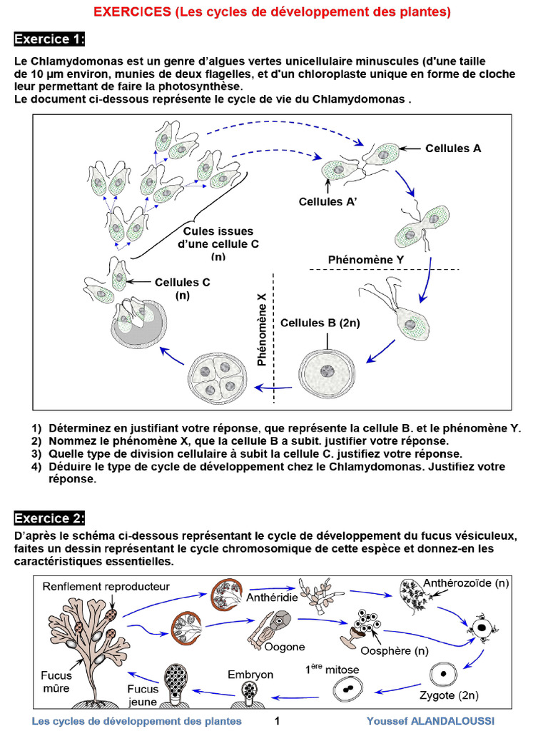 Exercices Unit2 3 | PDF